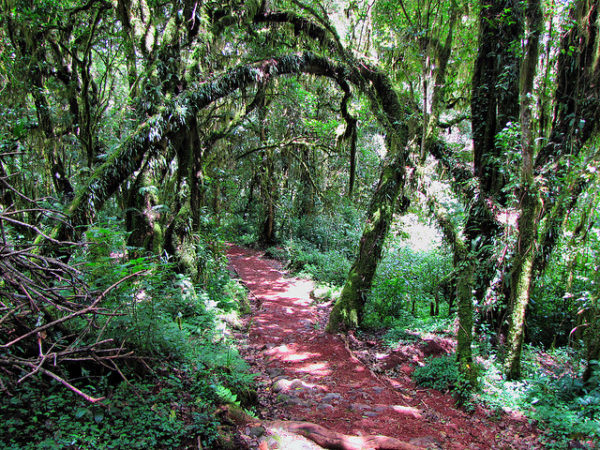 Nabaki Safaris | 3 – Days Short Kilimanjaro Trek | Managed by a team of ...